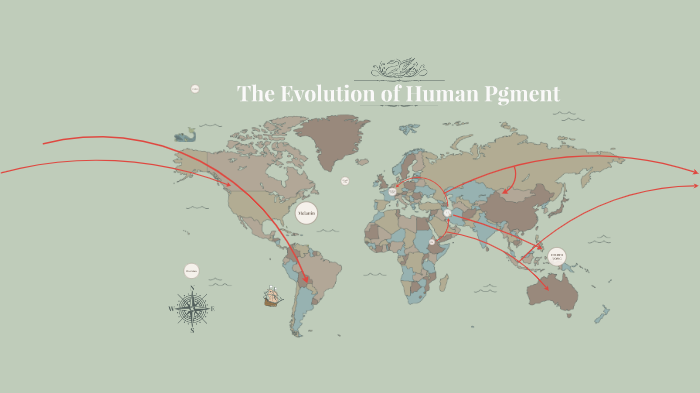 Evolution of Human Skin Color by James Queally on Prezi