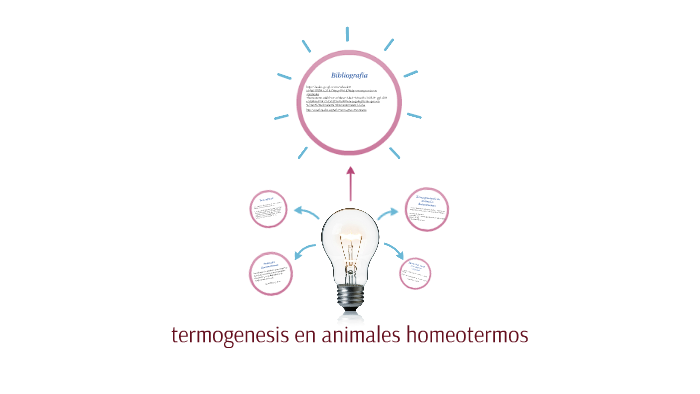 termogenesis en animales homeotermos by chiara norato on Prezi