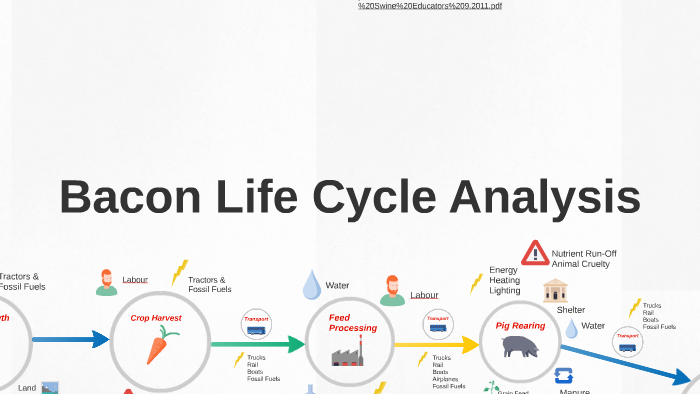 Bacon Life Cycle Analysis by Nick Pochailo on Prezi