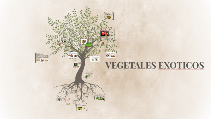 VEGETALES EXOTICOS by Yaneli Camacho López on Prezi