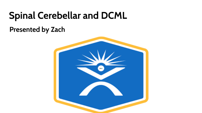 Spinal Cerebellar and DCML by Zachary Culver on Prezi