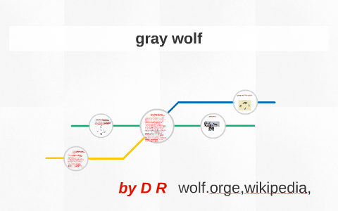 How dose the gray wolf grow and change by Sam Beverloo on Prezi