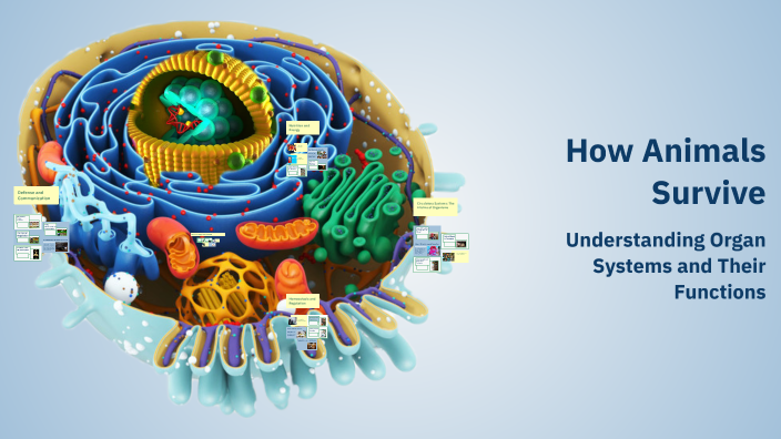 How Animals Survive by Ipoloy Caramugan on Prezi