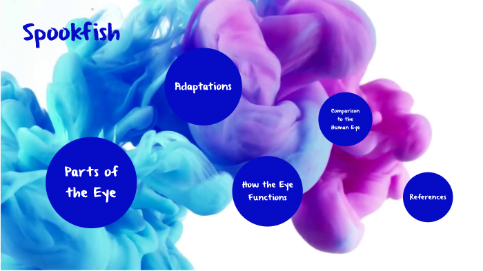 Spookfish Eye Project by Ariel Madison on Prezi