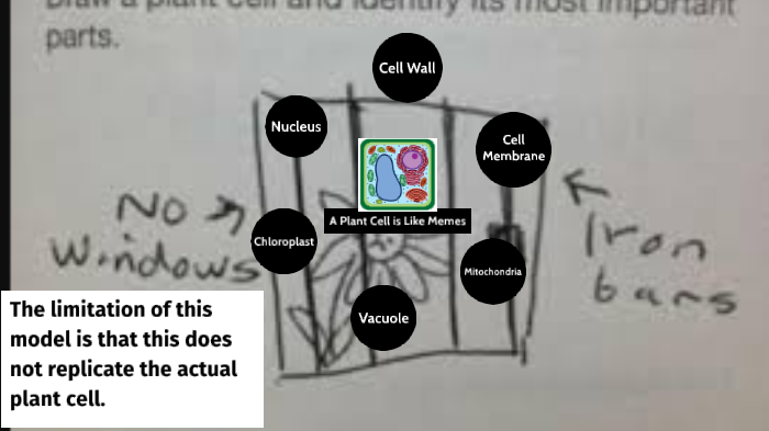 A Plant Cell Is like Memes by Noah Teng on Prezi