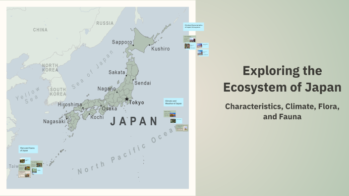 Exploring the Ecosystem of Japan by Sofi Castro on Prezi