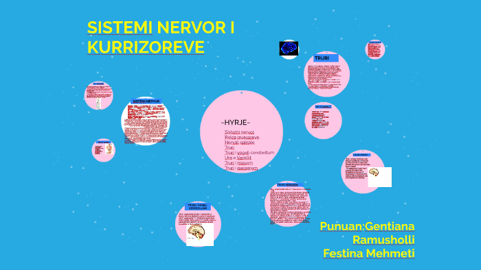 SISTEMI NERVOR I KURRIZOREVE by genta ramusholli on Prezi