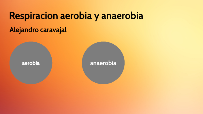 Respiracion aerobia y anaerobia by ALEJANDRO CARVAJAL SERNA on Prezi