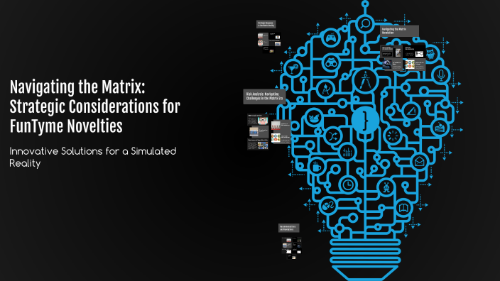 Navigating the Matrix: Strategic Considerations for FunTyme Novelties ...