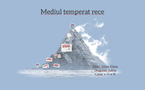 Mediul temperat rece by Elena Alexe on Prezi