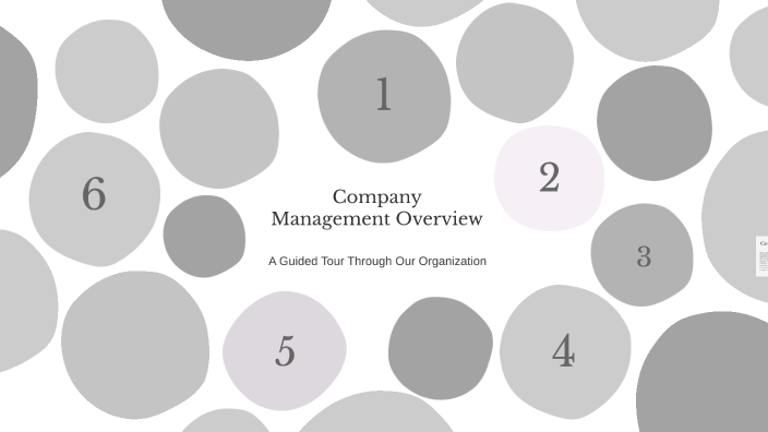 Company Management Overview by Nosipho Radebe on Prezi