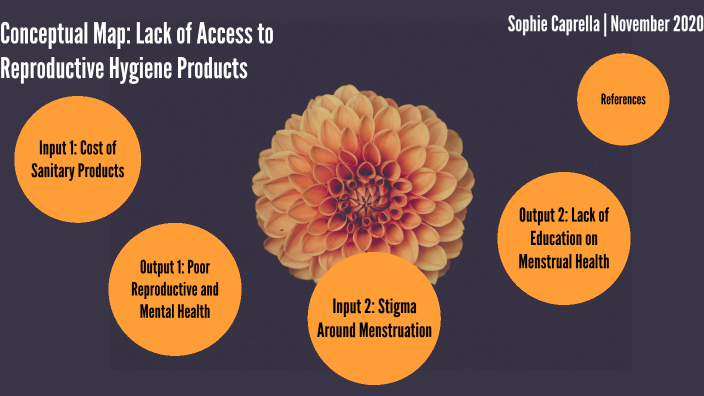 Part B: Conceptual Map of Access to Reproductive Hygiene Products by ...