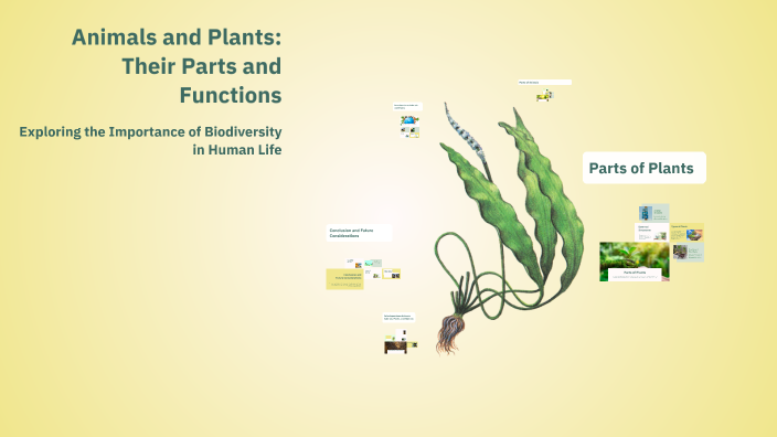 Animals and Plants: Their Parts and Functions by faith flores on Prezi
