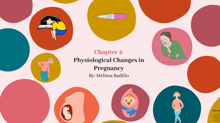 Physiological Changes in Pregnancy by Melissa Badillo on Prezi