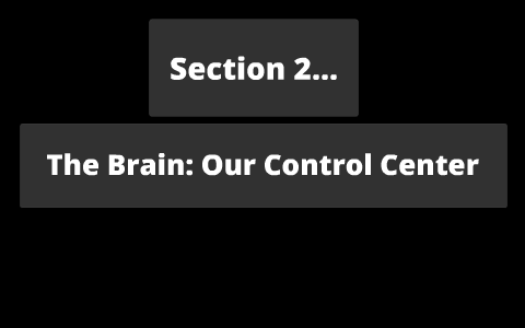 Section 2: The Brain Our Control Center by Chloe Mireles on Prezi
