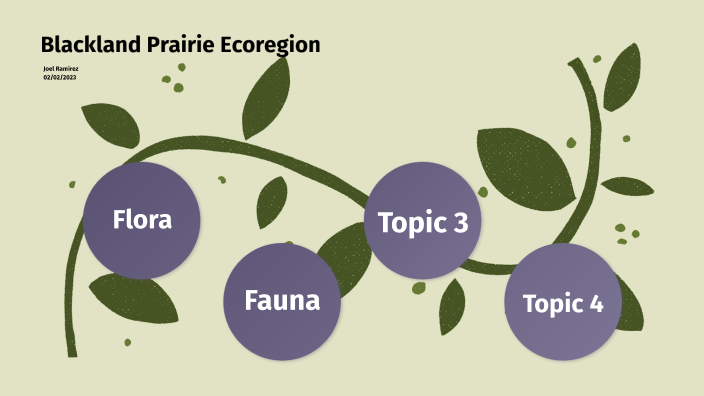 Blackland Prairie Ecoregion by Joel Ramirez on Prezi