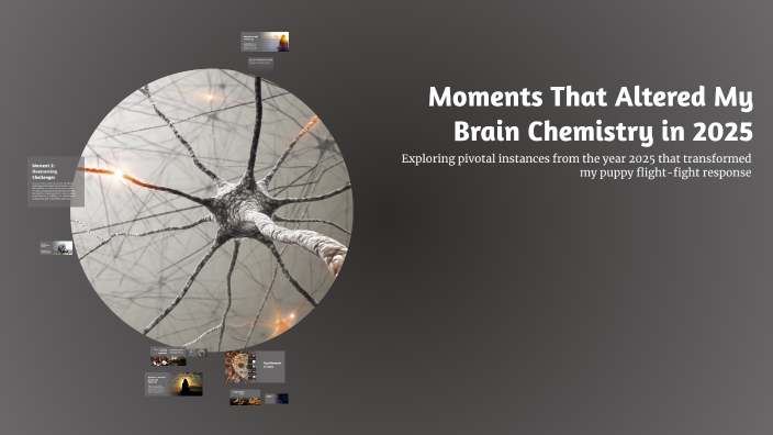 Moments That Altered My Brain Chemistry in 2025 by Angie Beeson on Prezi