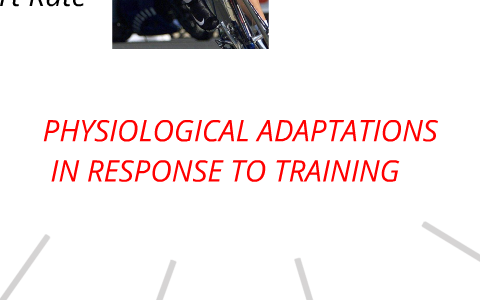 Physiological Adaptations in Response to Training by Claudia Goswell on Prezi