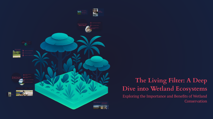 The Living Filter: A Deep Dive into Wetland Ecosystems by Raena ...
