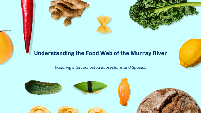 Understanding the Food Web of the Murray River by Caitlin White on Prezi