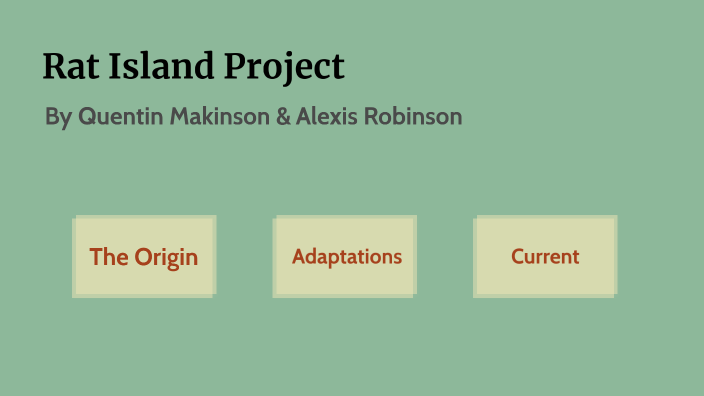 Rat Island Project by Quentin Makinson on Prezi