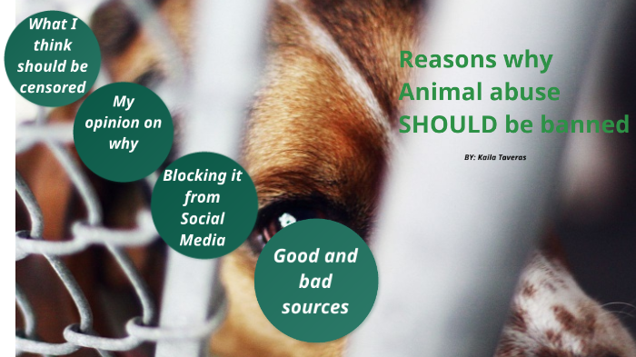 Reasons Why Animal Abuse Should Be Censored By Kaila Taveras reasons-why-animal-abuse-should-be-censored-by-kaila-taveras