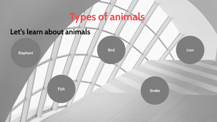 Types of ani by Zin Ko Naing