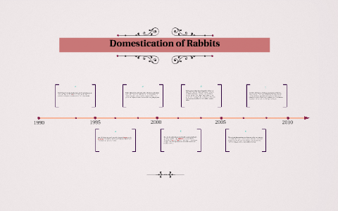 Domestication of Rabbits by Salma Calvo on Prezi