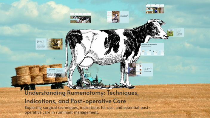 Understanding Rumenotomy: Techniques, Indications, and Post-operative ...