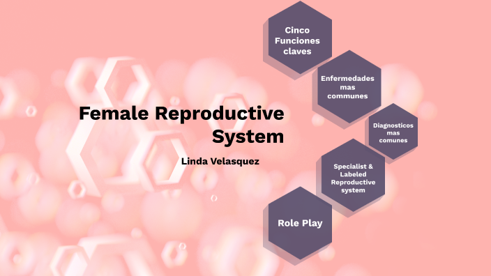Female Reproductive System by Linda Velasquez on Prezi
