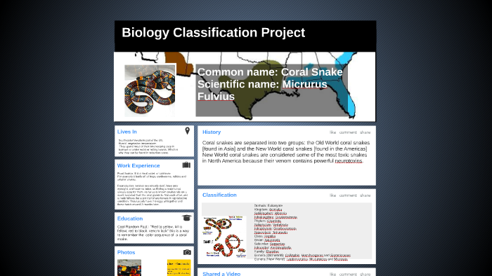 Biology Classification Project by Gethzemani Gonzalez on Prezi