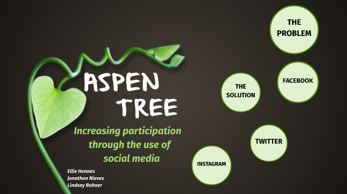 ASPEN TREE by Ellie Hennes on Prezi