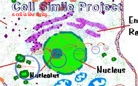 Cell Simile: A Cell Is Like A City by Cedric Thelen on Prezi