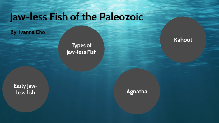 Jawless fish of the Paleozoic by Ivanna Cho on Prezi