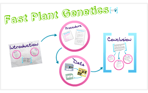 Fast Plant Lab Presentation by Kevin Tresselt on Prezi