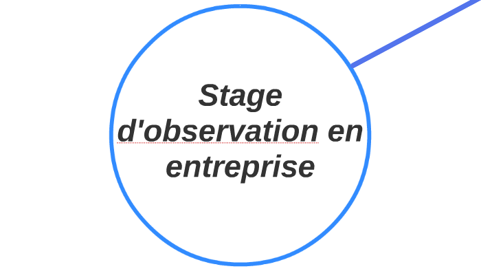 Stage d'observation en entreprise by Corto Beau on Prezi
