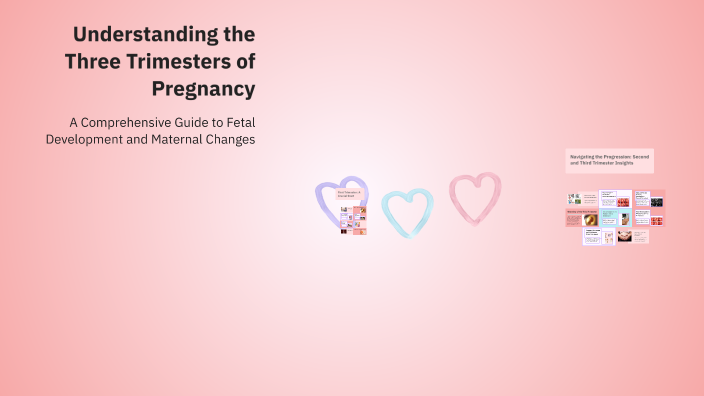 Understanding the Three Trimesters of Pregnancy by catalina rios on Prezi