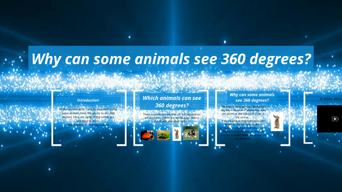 Why can some animals see 360 degrees? by Voke Bukata on Prezi