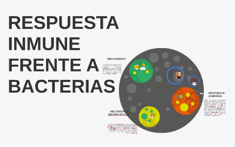 RESPUESTA INMUNE FRENTE A BACTERIAS by Adolfo Menchaca Castañeda on Prezi