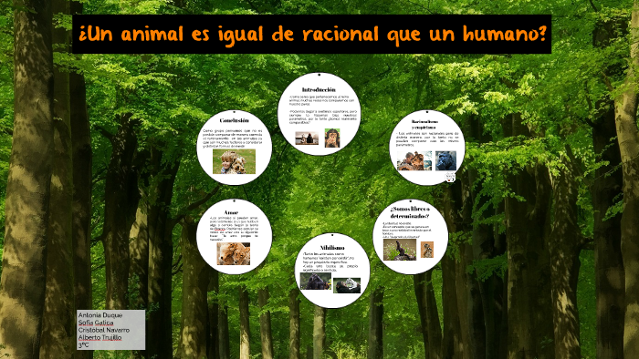 ¿Un animal es igual de racional que un humano? by Alberto Trujillo on Prezi