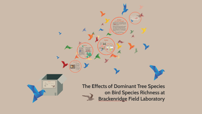 Dominant Tree Species and Bird Species Richness by Kennedy Perry on Prezi