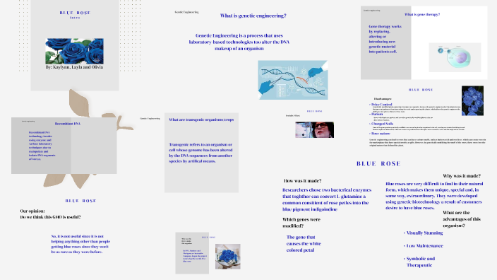 Smith, Riley by kaylynn smith on Prezi
