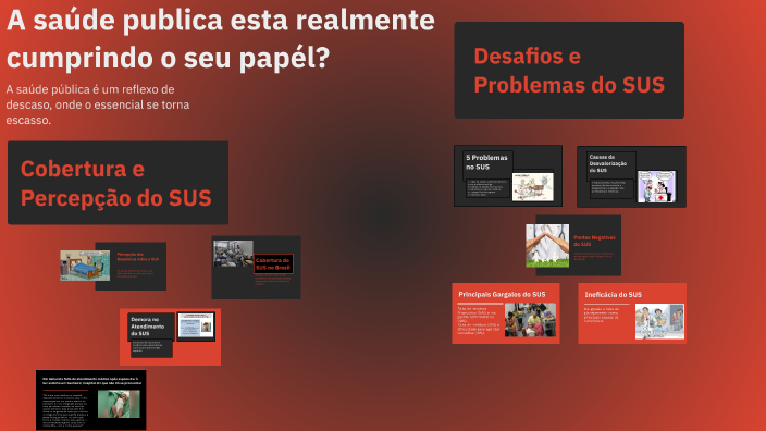 Desafios do SUS by Bryan Duffeck on Prezi