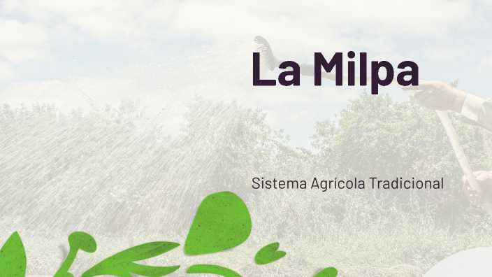 La Milpa y sus Beneficios by CLARA LUCERO HERNANDEZ on Prezi