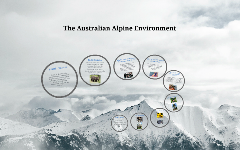 The Australian Alpine Environment by Eleni Black on Prezi