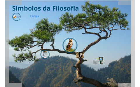 Coruja - Símbolo da Filosofia by Junior Schnorrenberger on Prezi Next