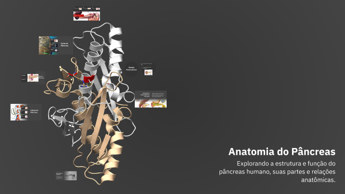 Anatomia do Pâncreas by Jefferson Gordiano on Prezi