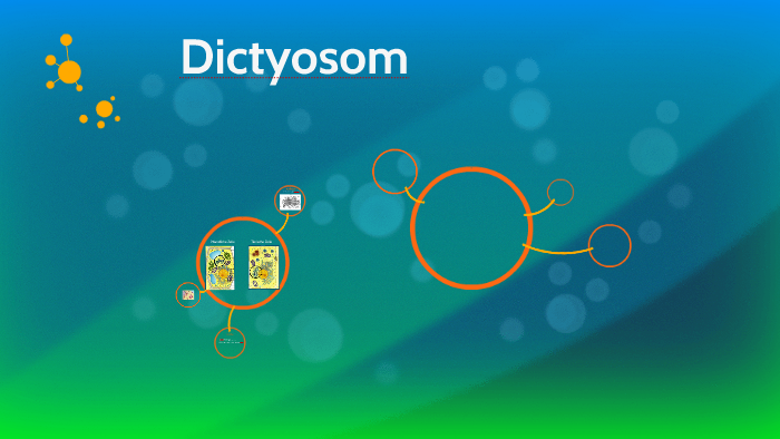 Dictyosom by Tobias Schweiger on Prezi