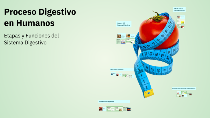 Proceso Digestivo en Humanos by ashley ceballos on Prezi