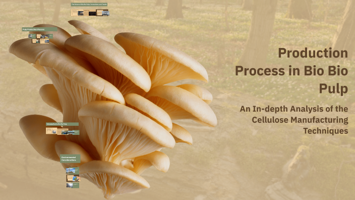 Production Process in Bio Bio Pulp by Israel serrano herrera on Prezi